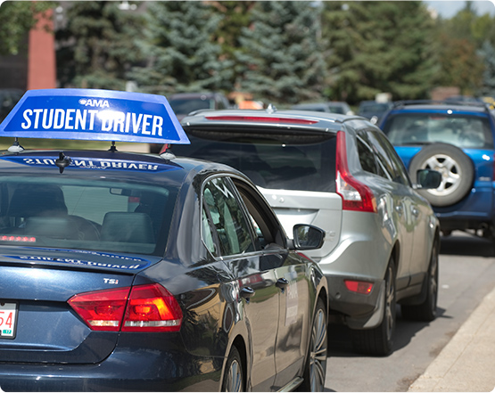 Student Driver Study Tools | AMA