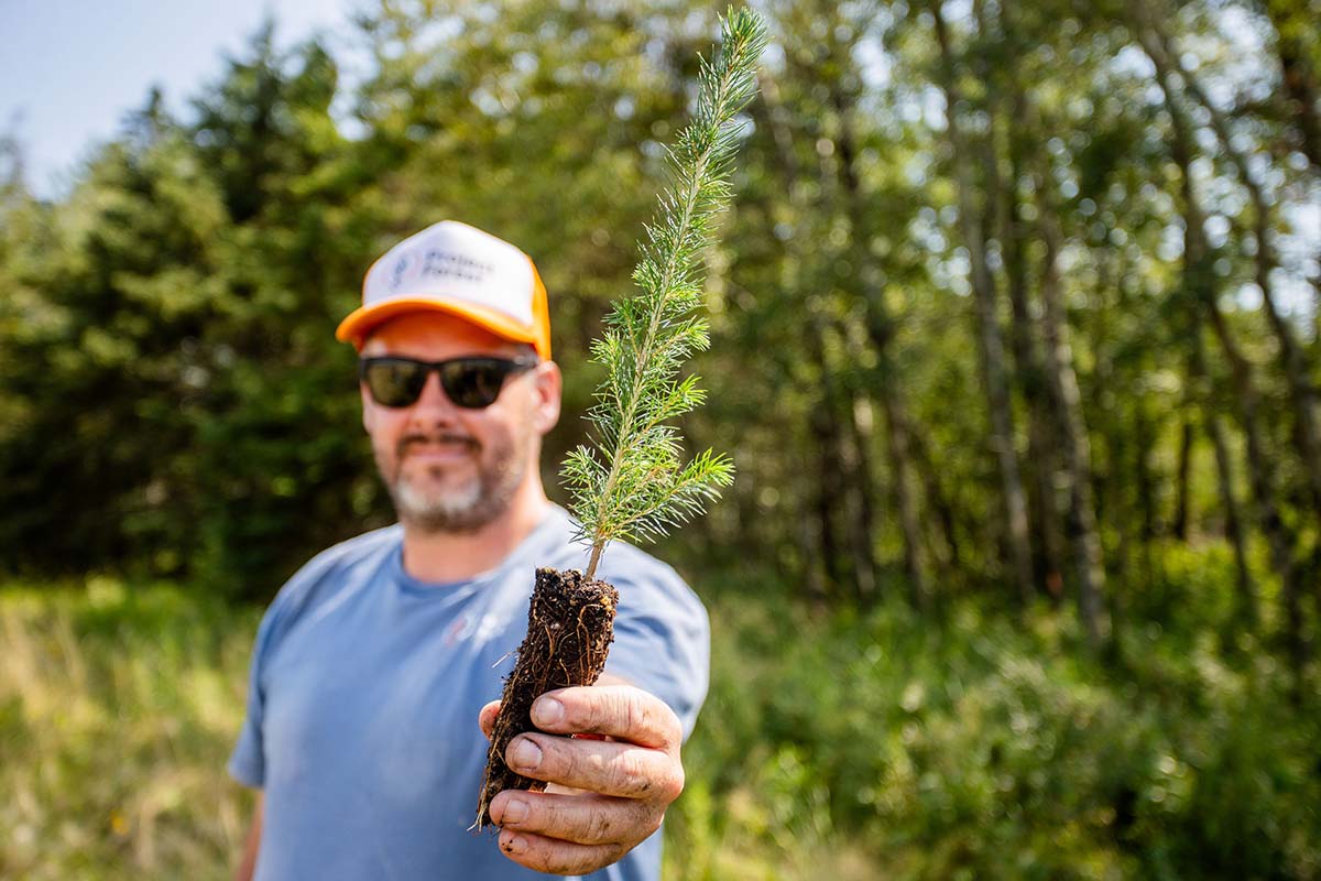Shifting Gears: AMA Plants 200k Trees in Massive Rewilding Effort