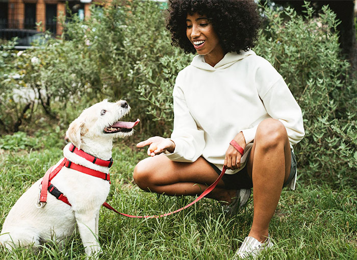 9 Ways to Lower your Auto Insurance Rates | AMA