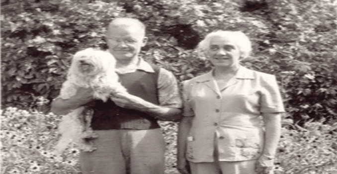 A History of the AMA School Safety Patrol |AMA